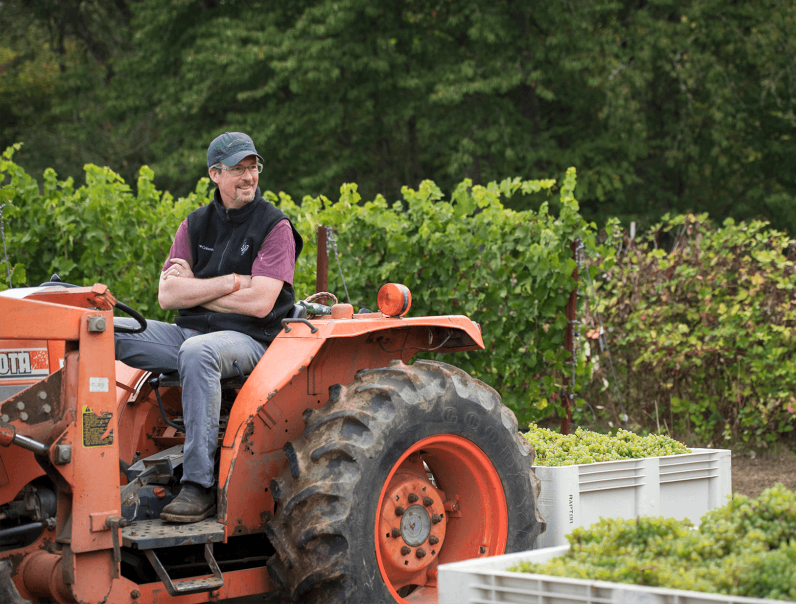 Raptor Ridge Winery Story