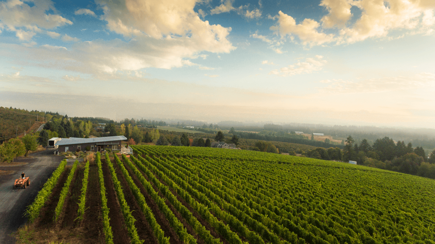 Raptor Ridge Winery Tasting Room