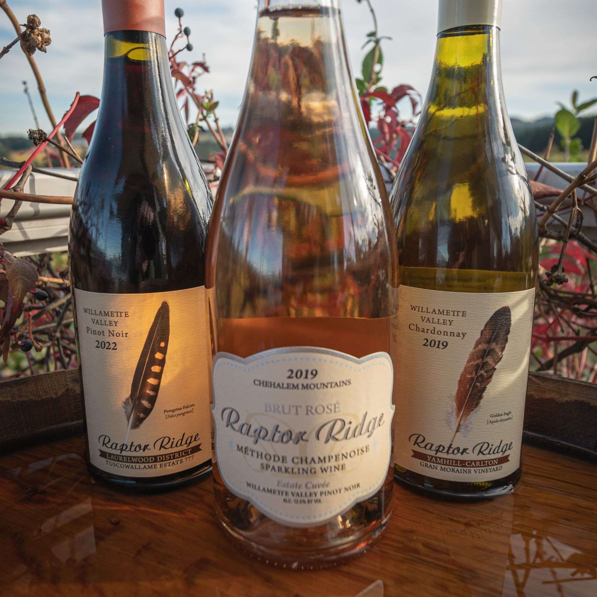 Holiday 2024 - Raptor Ridge Winery